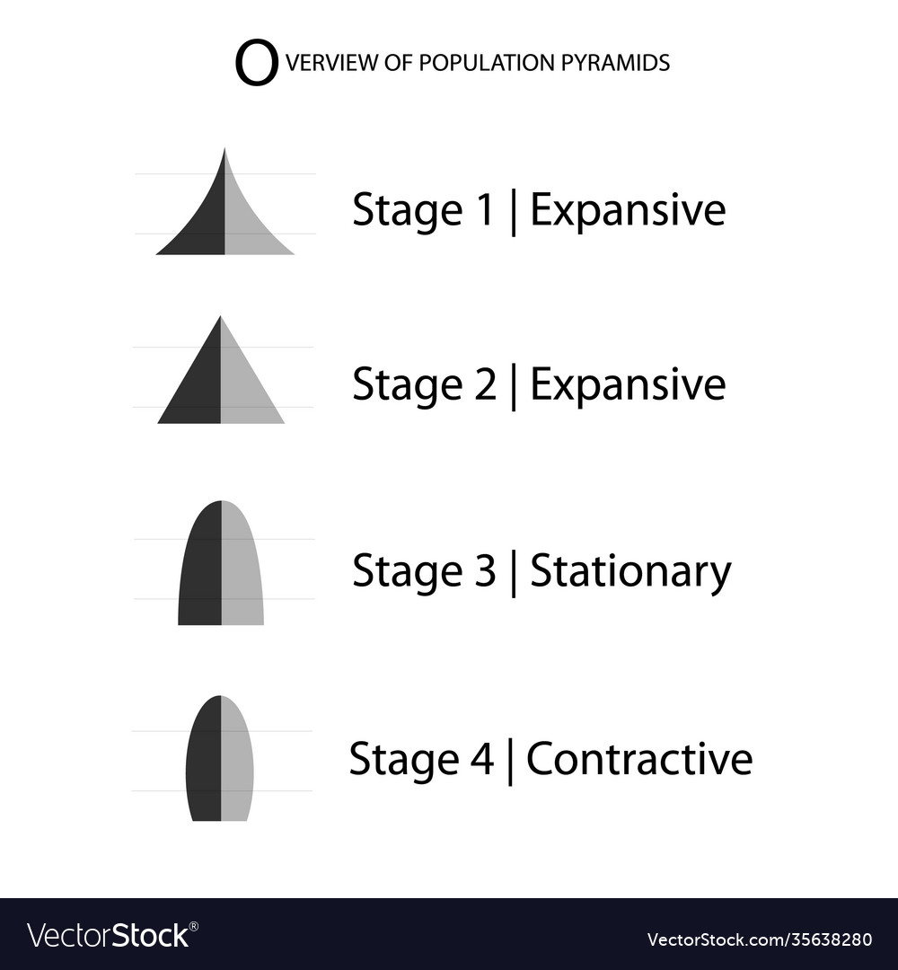 Different types population pyramids on white ba Vector Image Different types population pyramids on white ba Vector Image