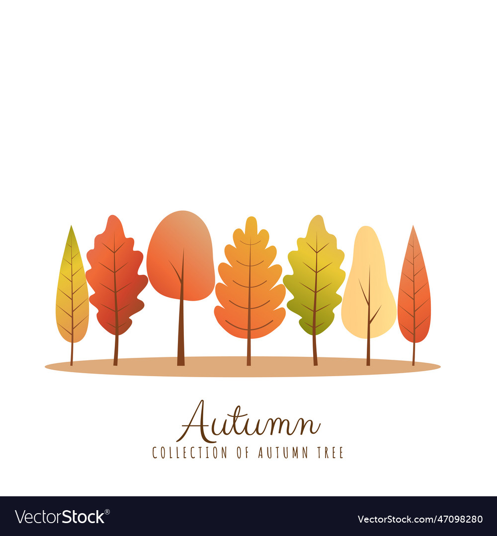 Set of autumn tree Royalty Free Vector Image - VectorStock