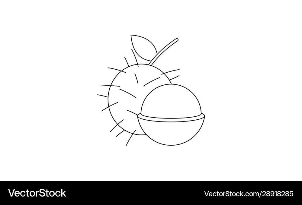 Coloring book fruit to educate kids learn colors Vector Image