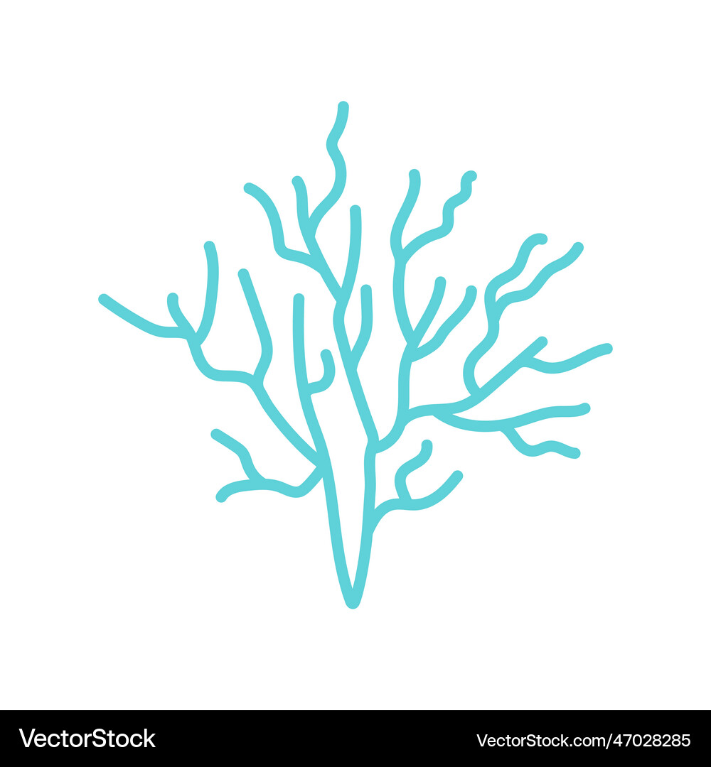 Cute of seaweed marine algae Royalty Free Vector Image