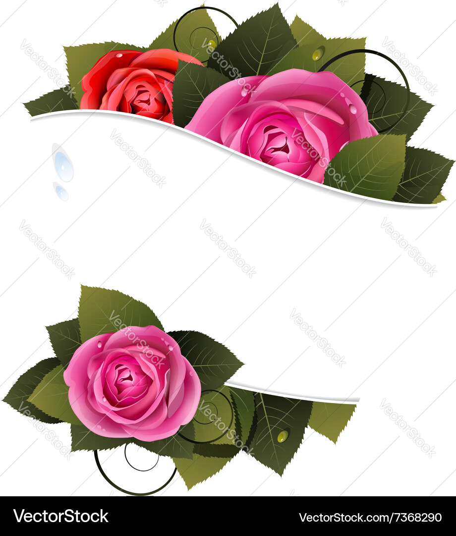 Bouquet of roses Royalty Free Vector Image - VectorStock