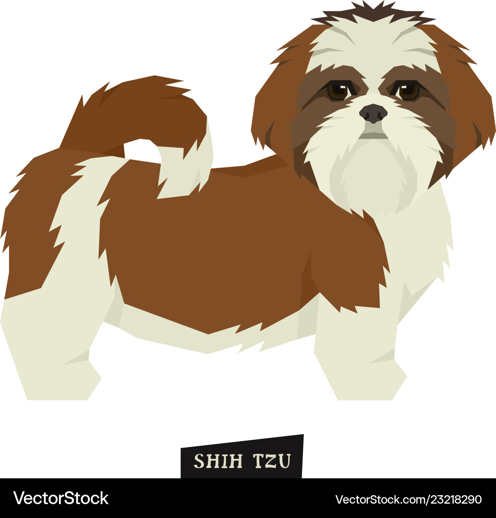 Dog collection shih tzu geometric isolated object Vector Image