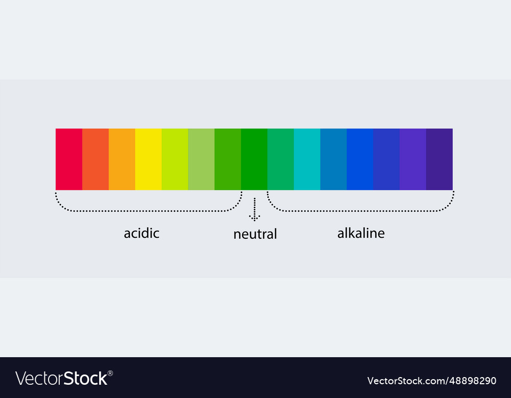 Ph scale indicator chart acidic alkaline measure Vector Image