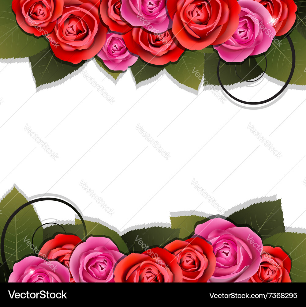 Bouquet of roses Royalty Free Vector Image - VectorStock