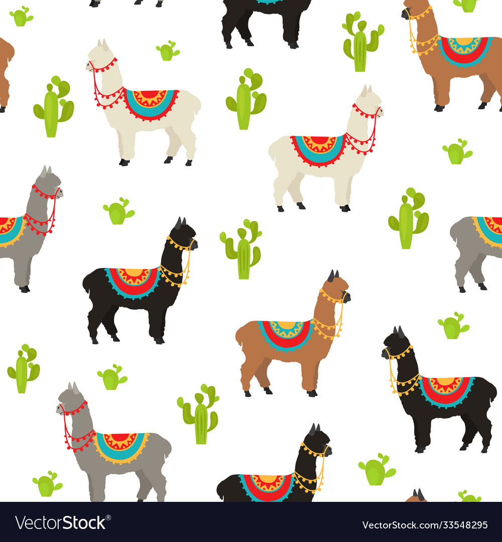 Camelids family collection alpaca graphic design Vector Image