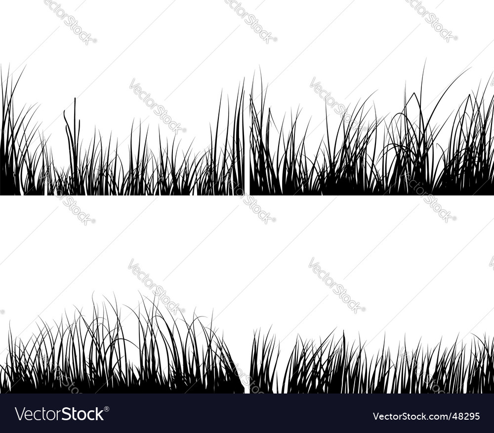 Set grasses Royalty Free Vector Image - VectorStock