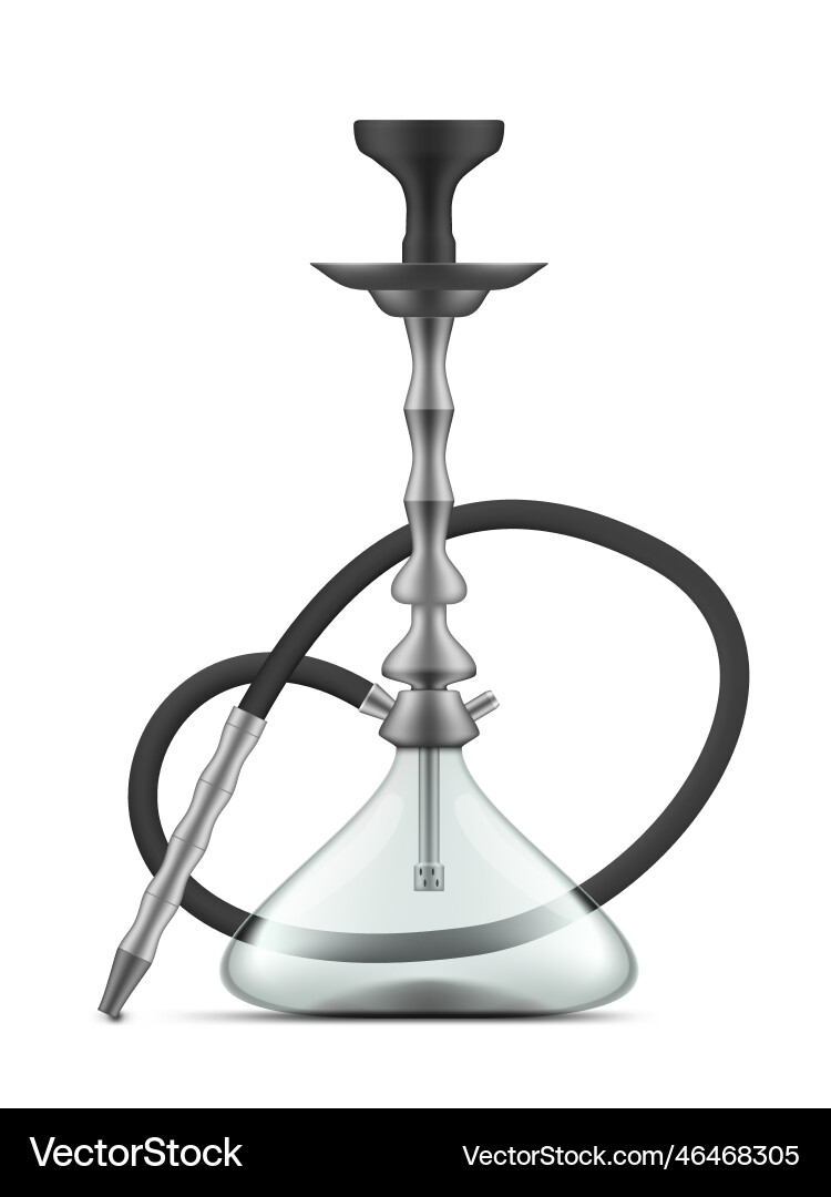 3d metal smoking hookah lounge cafe tool Vector Image
