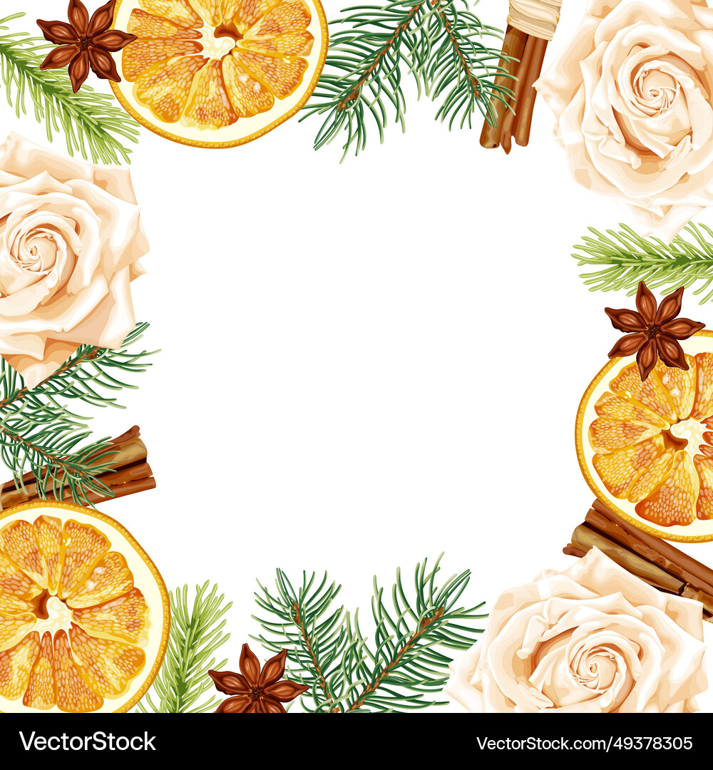 Christmas frame with dried orange and aromatic Vector Image