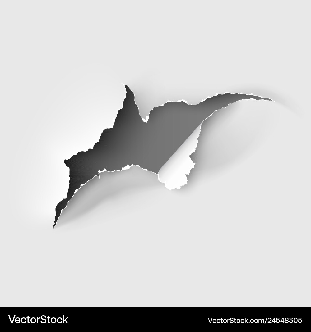 Hole torn in ripped paper on white Royalty Free Vector Image