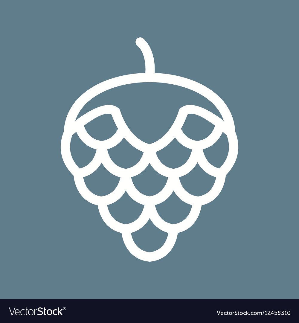 Hops Royalty Free Vector Image - VectorStock