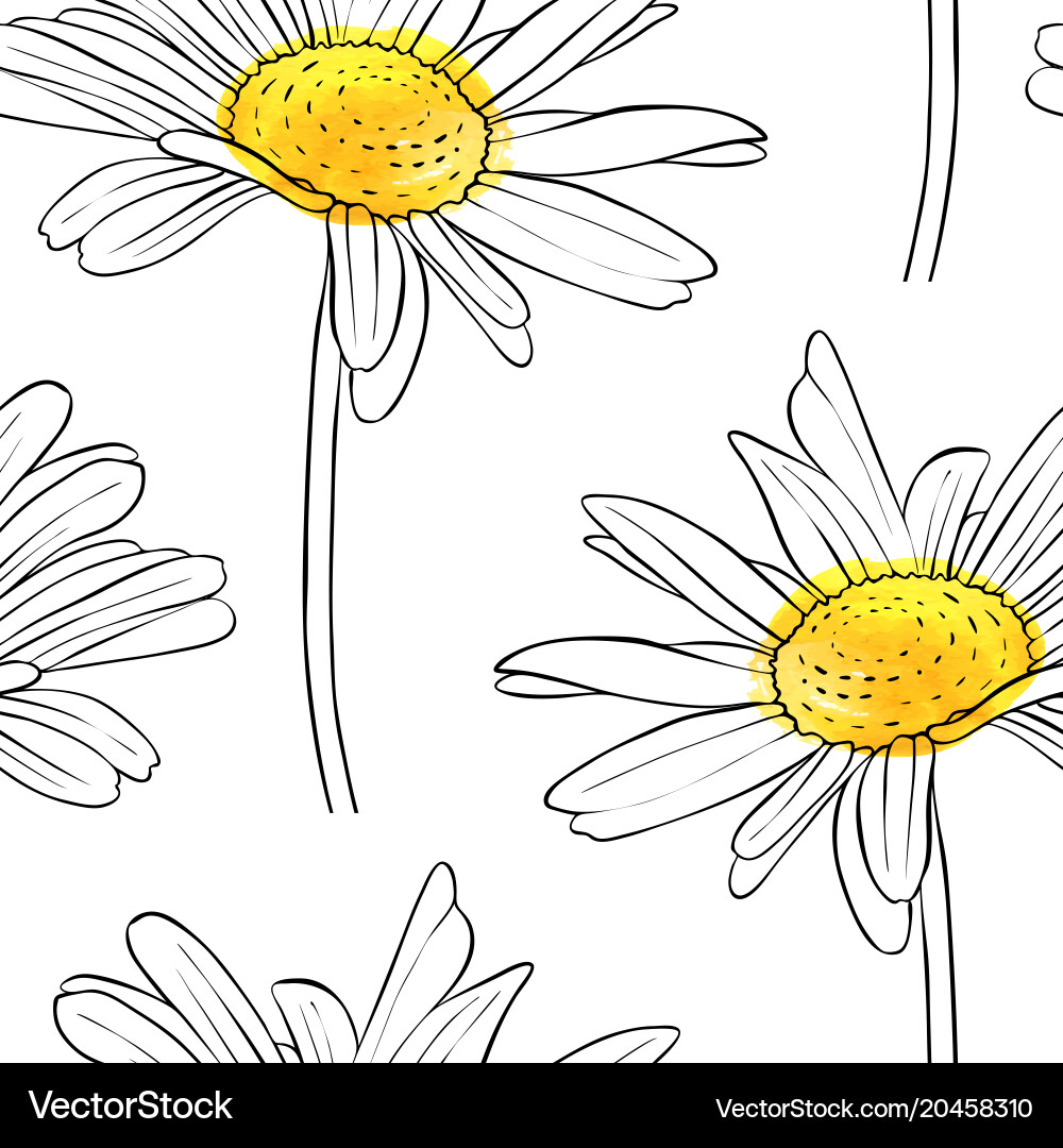 Seamless pattern with flower of daisy Royalty Free Vector