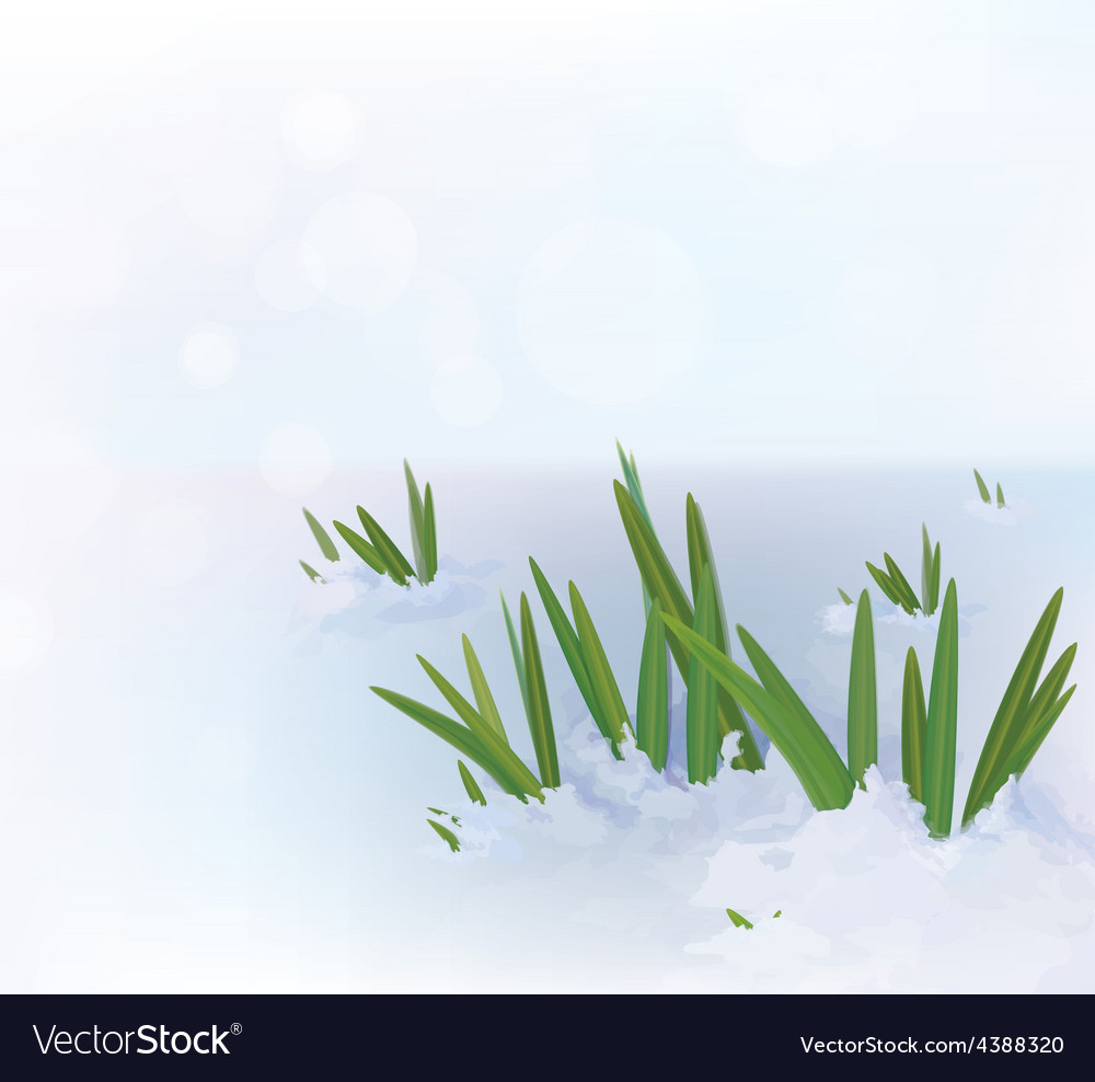 Grass snow Royalty Free Vector Image - VectorStock