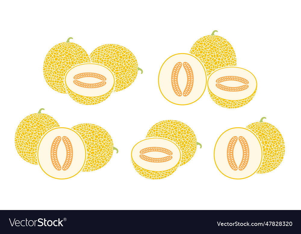 Melon Royalty Free Vector Image - VectorStock