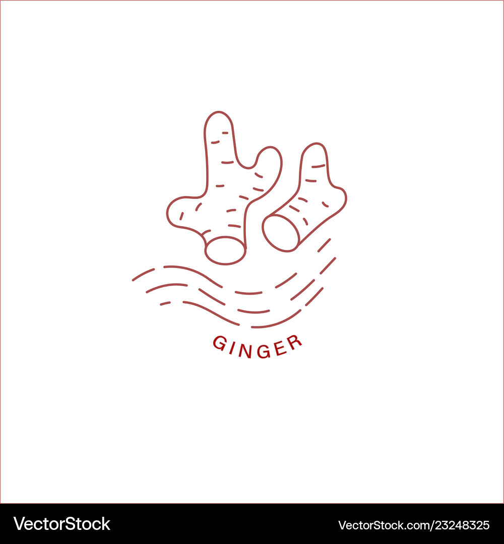 Icon and logo for spices herbs Royalty Free Vector Image