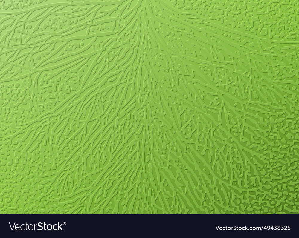 Organic tactile embossed texture abstract green Vector Image