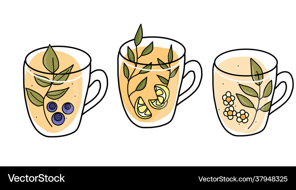Tea hand draw Royalty Free Vector Image - VectorStock