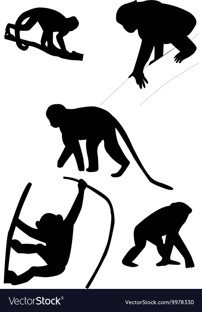 Monkey Royalty Free Vector Image - VectorStock