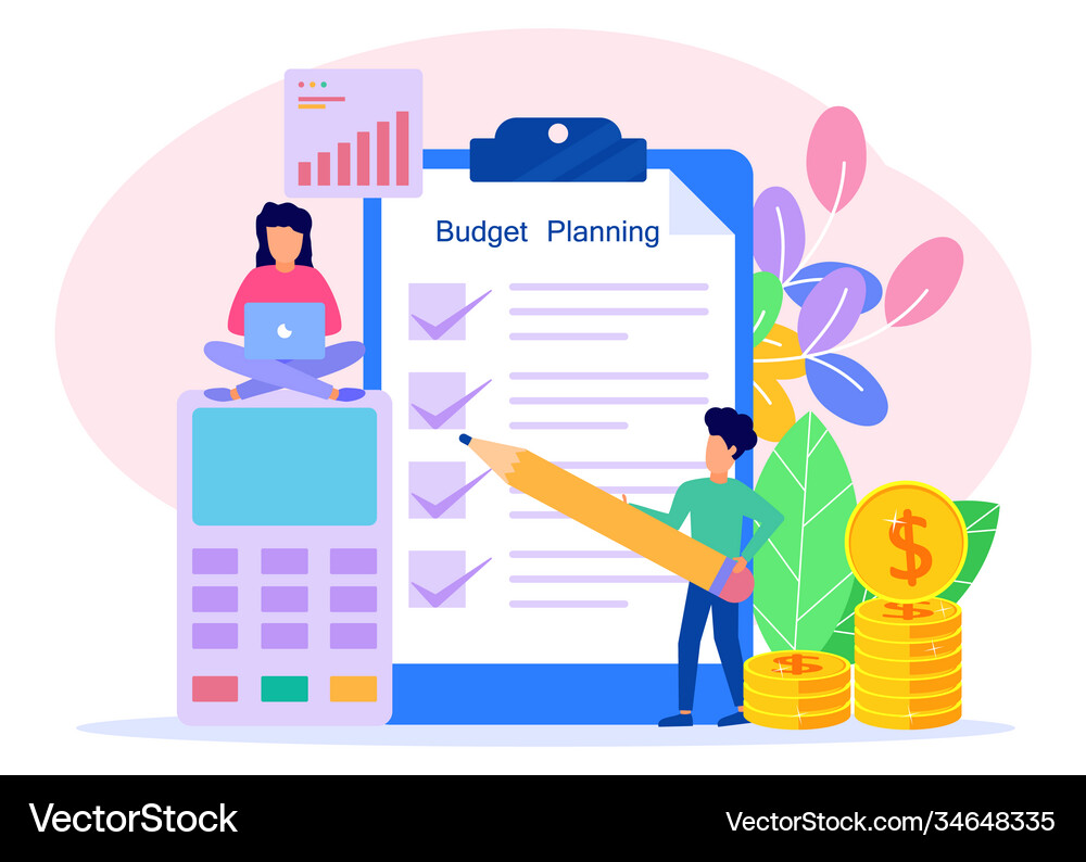 Graphic cartoon character budget planning Vector Image
