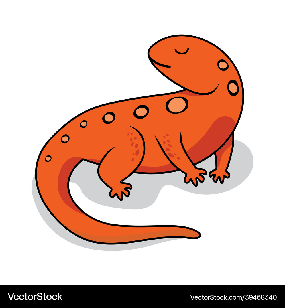 Newt cartoon salamander animals Royalty Free Vector Image