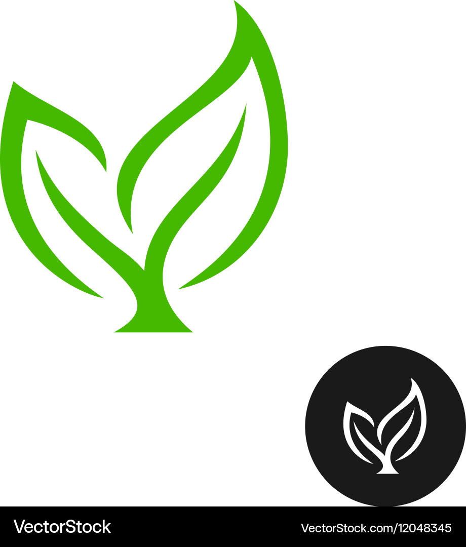 Two green leaves with a branch icon Royalty Free Vector