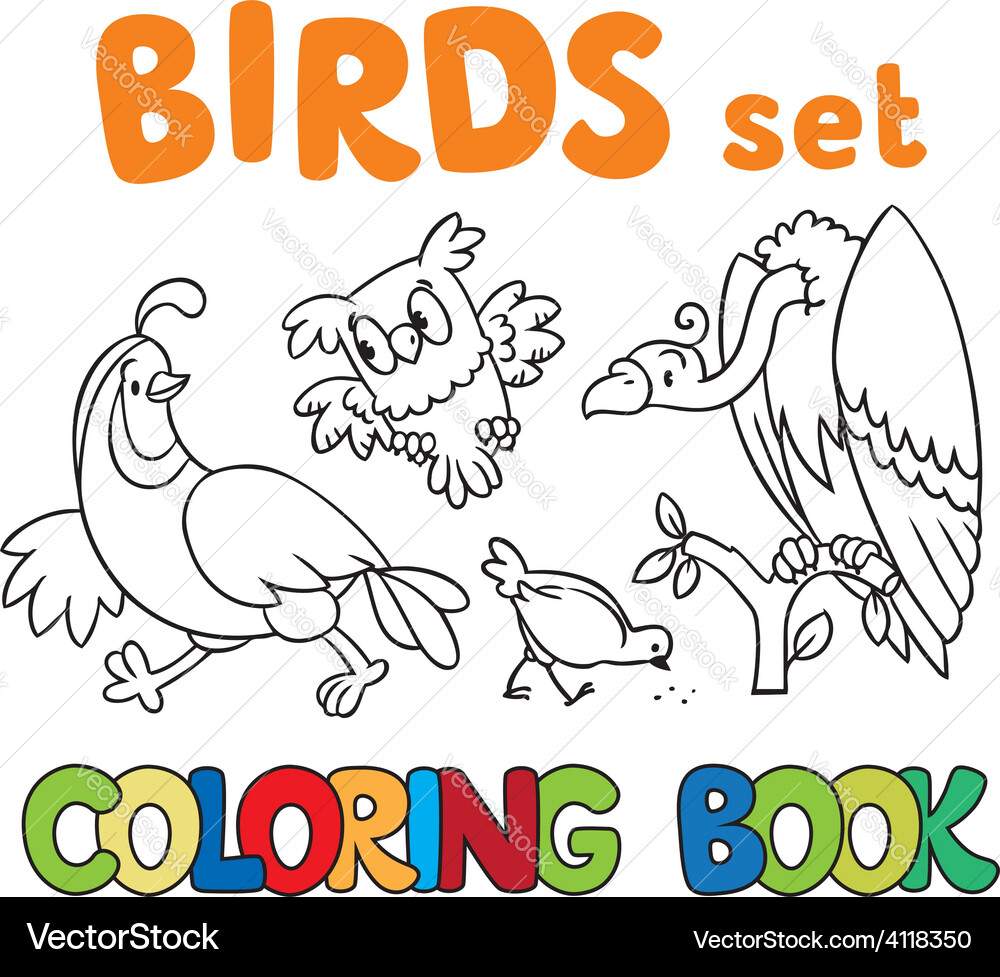 Cute Bird Coloring Page Royalty Free Vector Image