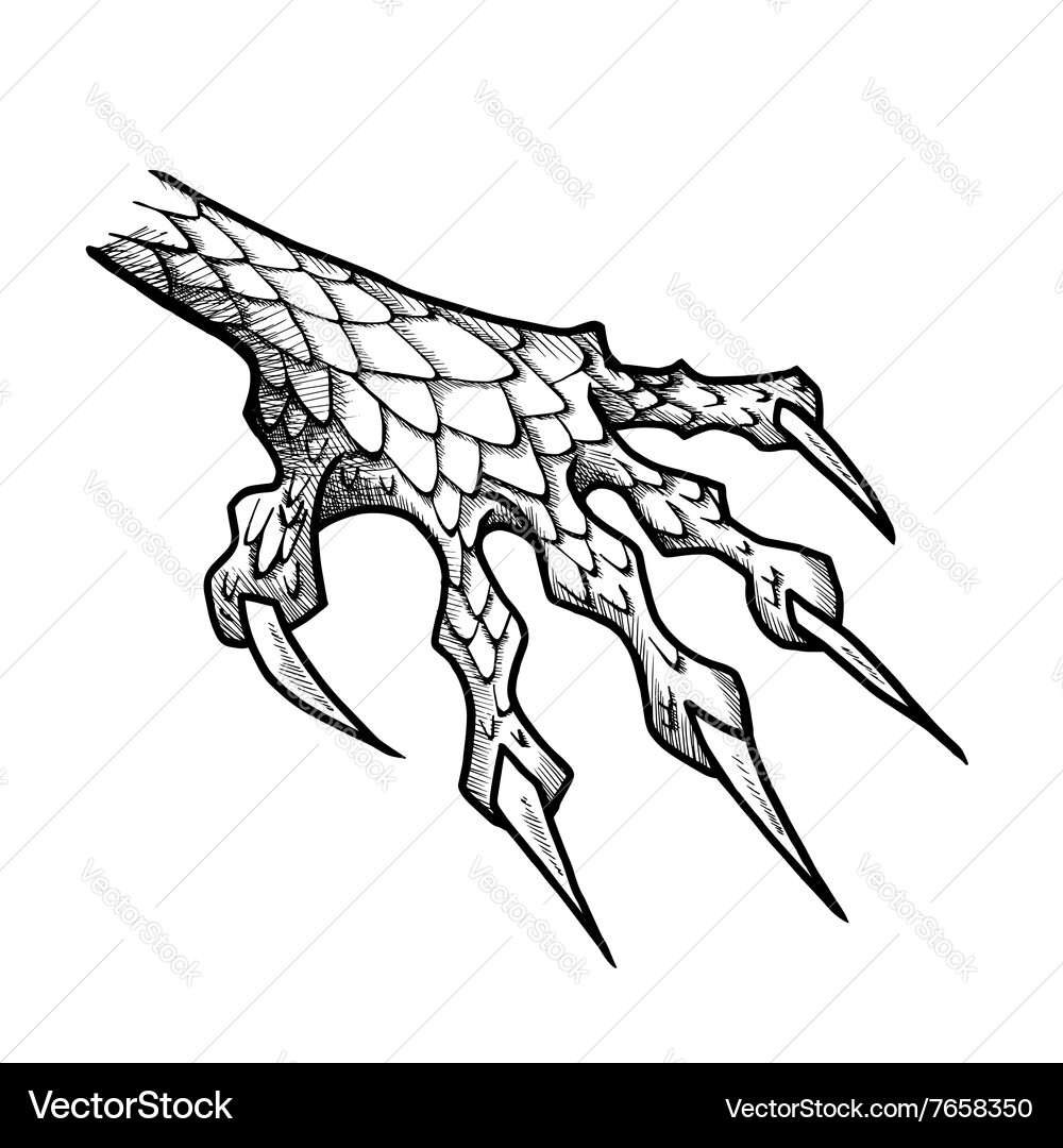 Dragon or monster paw Royalty Free Vector Image