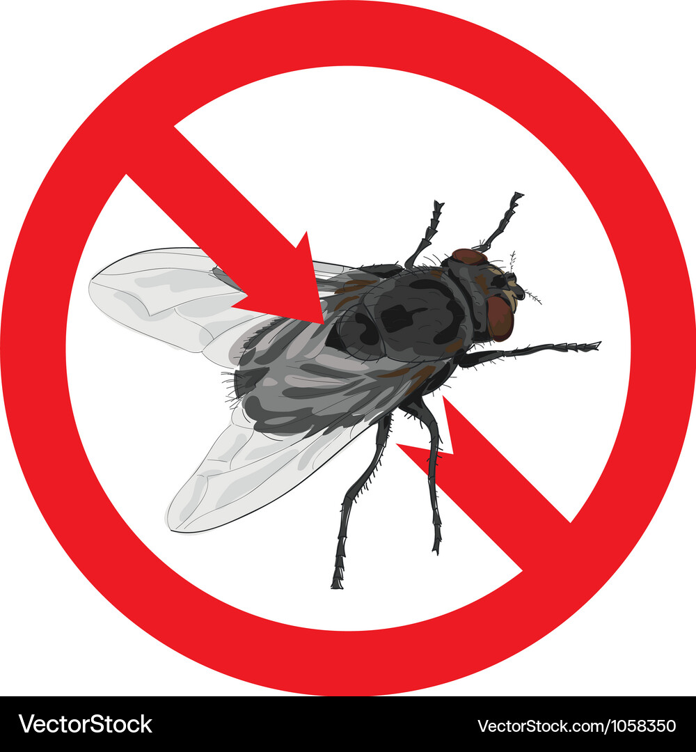 Flies banned sign prohibited Royalty Free Vector Image