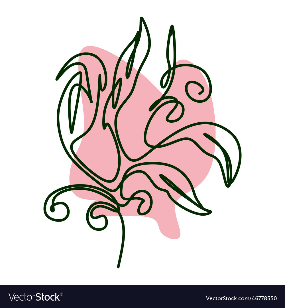 Flower continuous one simple single line drawing Vector Image