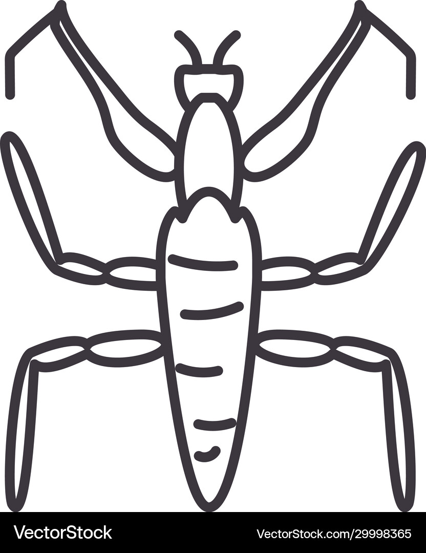 Mantis insect line detail style icon Royalty Free Vector