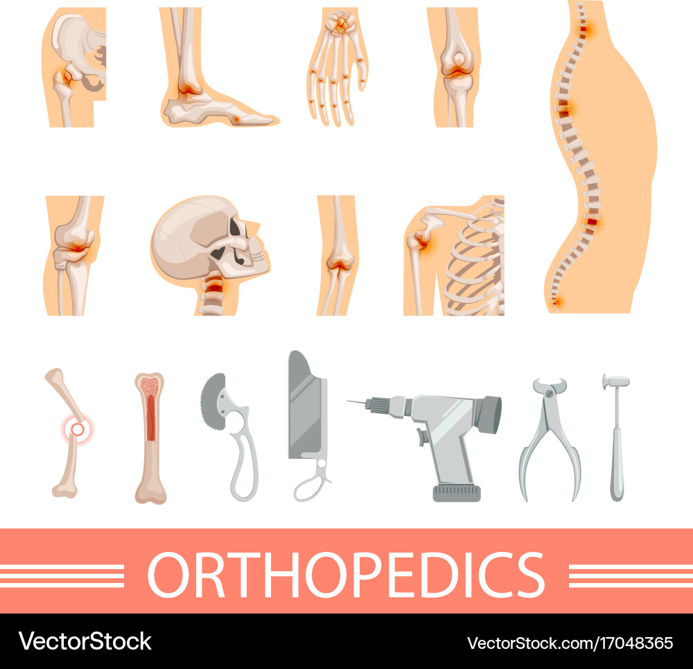 Orthopedic icons set human skeleton bones and Vector Image