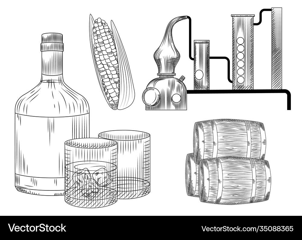 Set bourbon glass and bottle corn barrel Vector Image