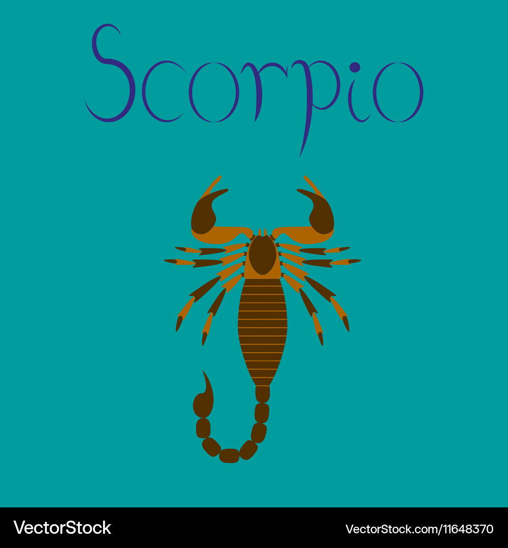 Flat on background scorpio Royalty Free Vector Image