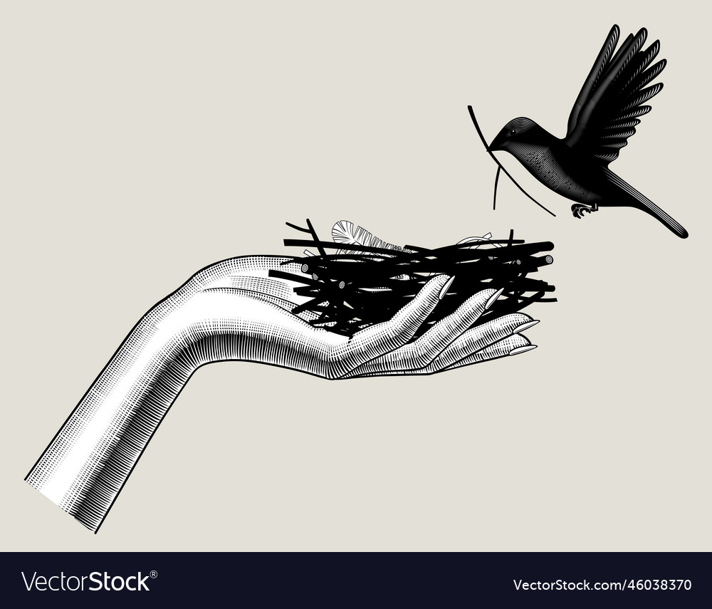 Hand Holding A Birds Nest And A Bird Royalty Free Vector