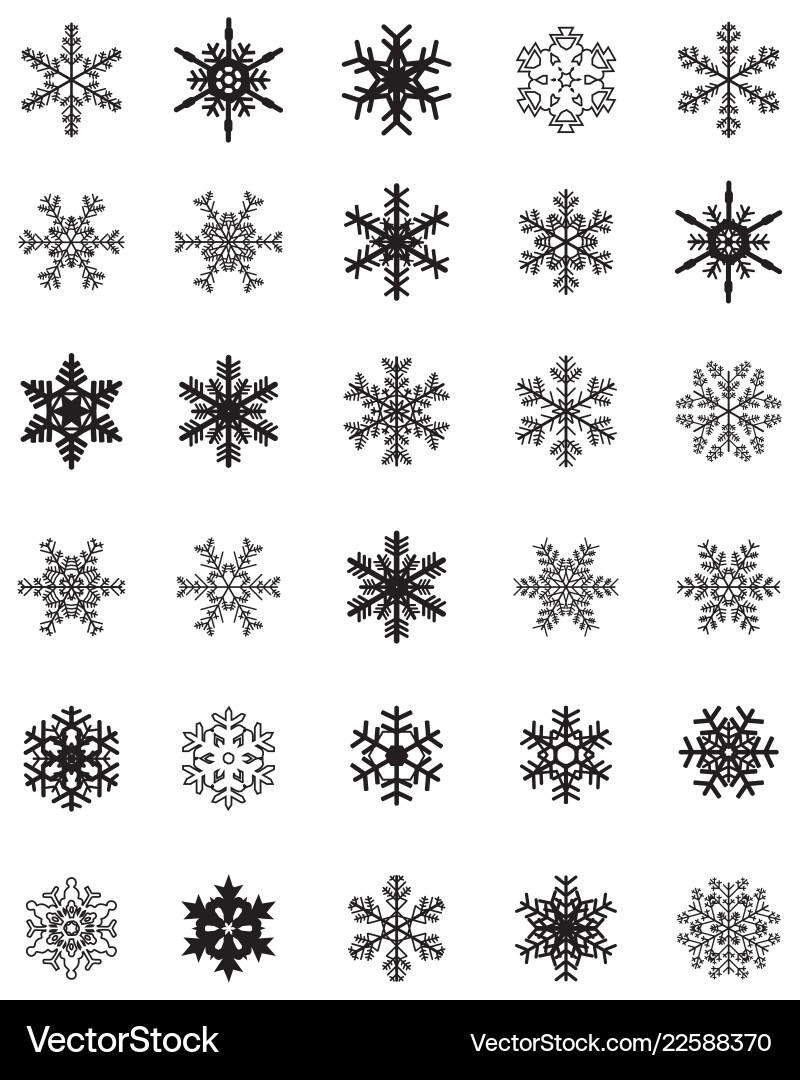 Set of different black snowflakes Royalty Free Vector Image
