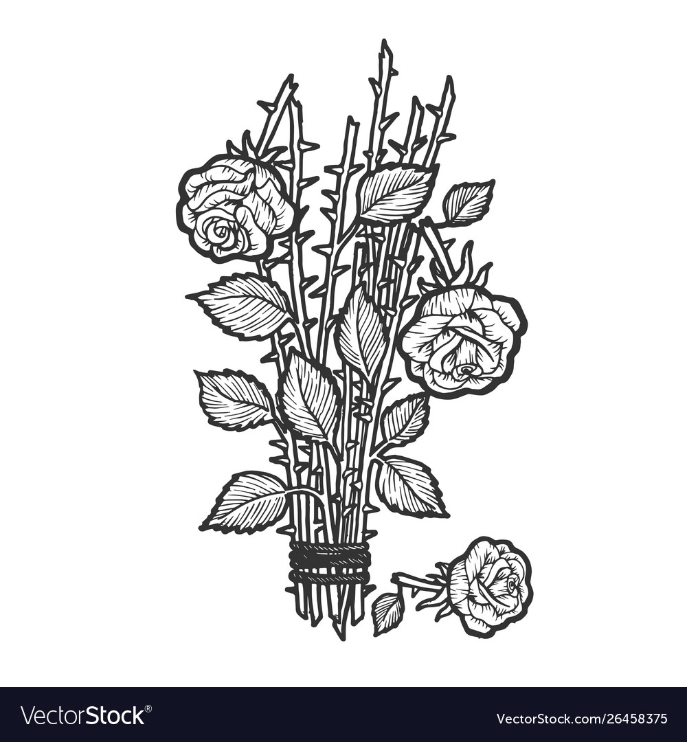 Broken roses sketch engraving Royalty Free Vector Image Broken roses sketch engraving Royalty Free Vector Image