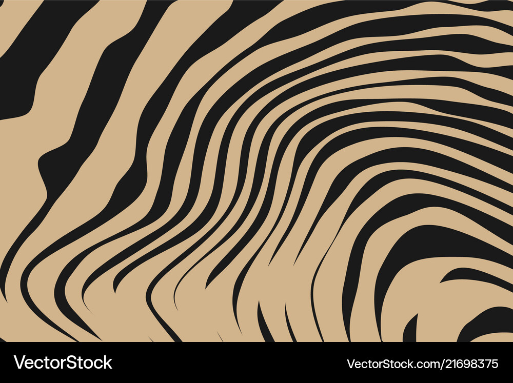 Close up stripe animal pattern Royalty Free Vector Image