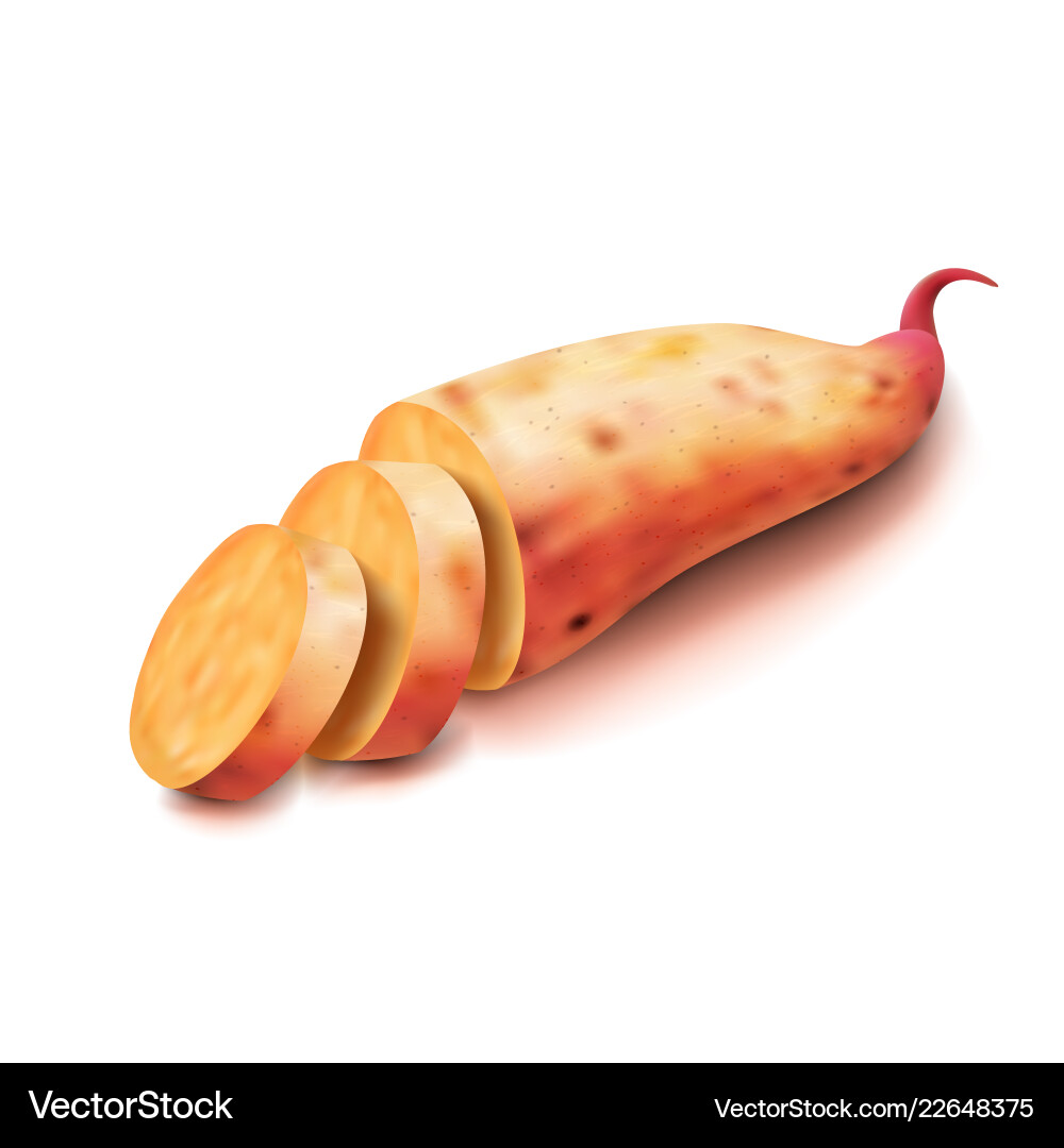 Realistic sweet potato on a white background Vector Image