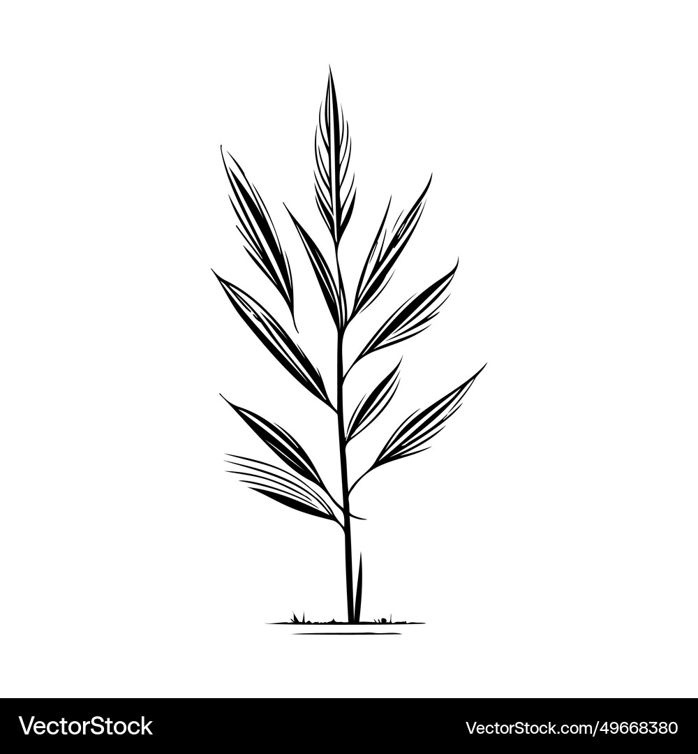 Arrowgrass Icon Hand zeichnen schwarze Farbe Pflanzenblatt