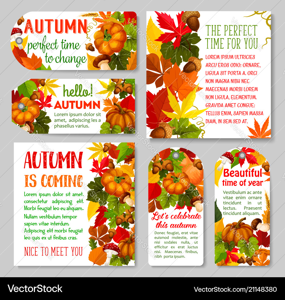 Autumn label and thanksgiving day gift tag set Vector Image