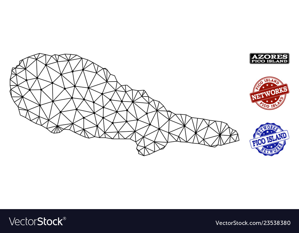 Polygonal network mesh map of pico island Vector Image