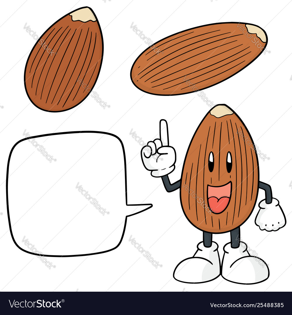 Set Almond Royalty Free Vector Image Vectorstock