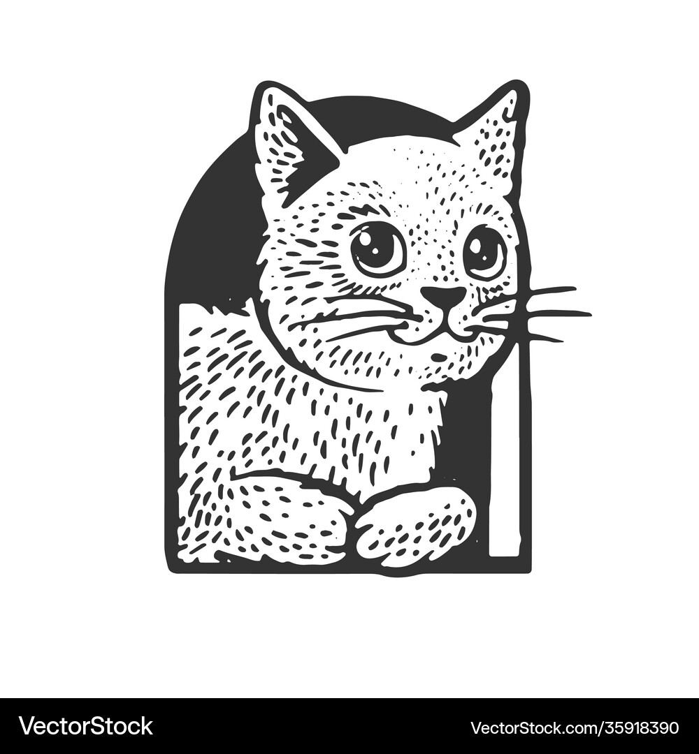 Cat in house sketch Royalty Free Vector Image - VectorStock