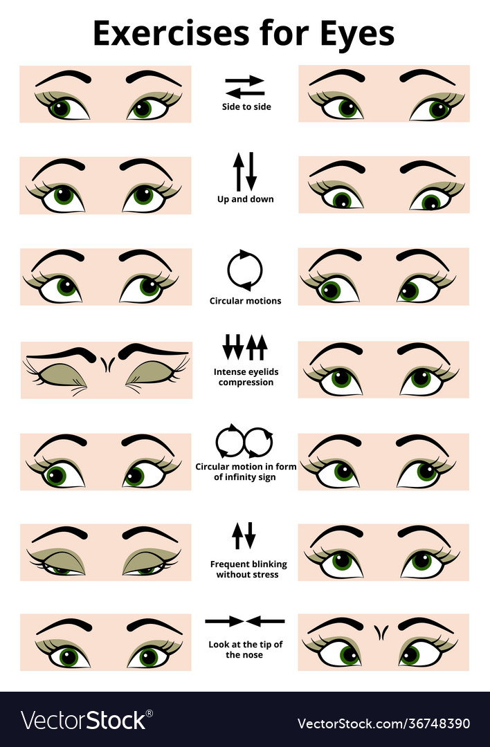 Exercises for eyes Royalty Free Vector Image - VectorStock