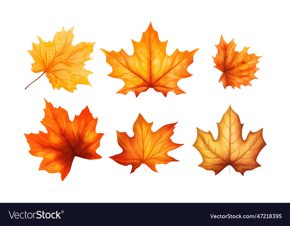Set autumn leaf elements Royalty Free Vector Image