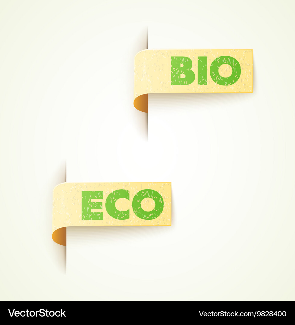 Set of two paper labels Royalty Free Vector Image