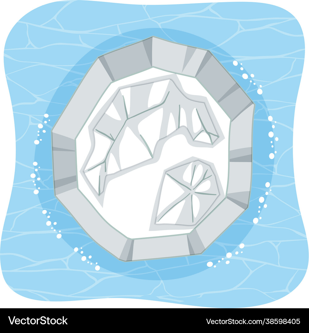 Aerial view ice island isolated Royalty Free Vector Image