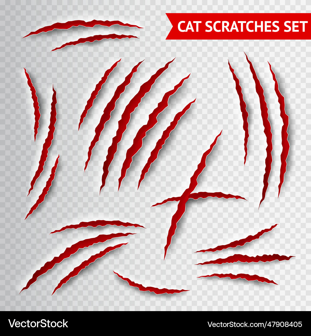 Cat scratches transparent scratches Royalty Free Vector