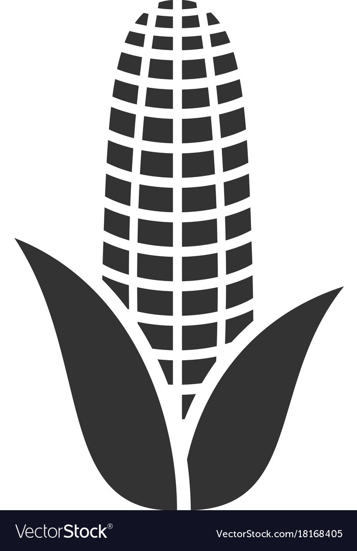Corn flat icon Royalty Free Vector Image - VectorStock