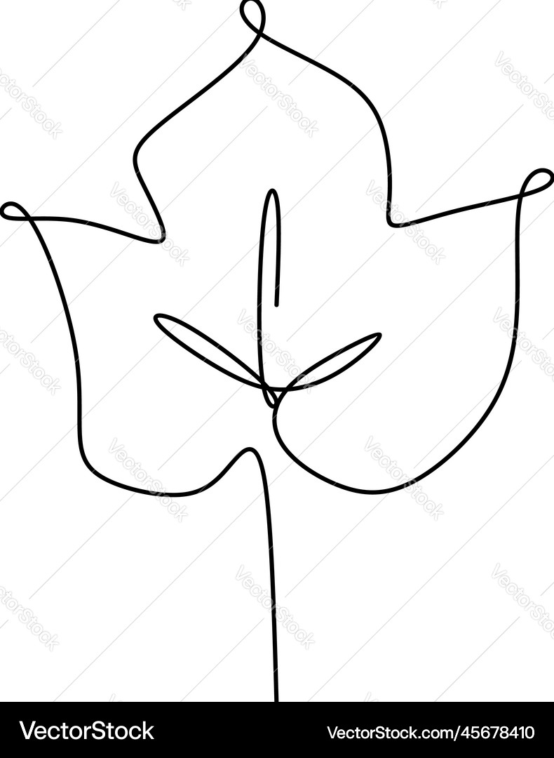 Drawing continuous lines of leaves with simple Vector Image
