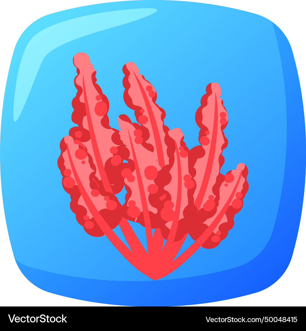 Stylized red coral in blue water square frame Vector Image